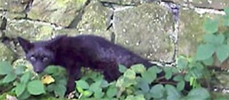 Accademia sarda di storia di cultura e di lingua » Blog Archive » “La ...